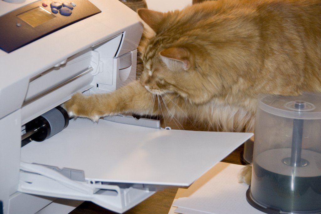 Seven Steps to Perfect Print Etiquette in the Workplace