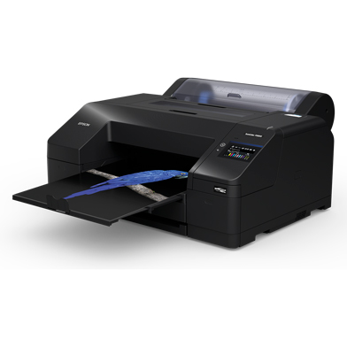 Epson SureColor SC-P5300 A2 Colour Large Format Printer - C11CL14301A1
